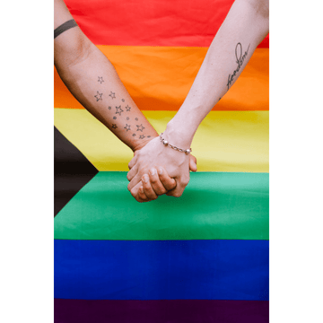 Shop Aromantic Pride items – Gay Skate